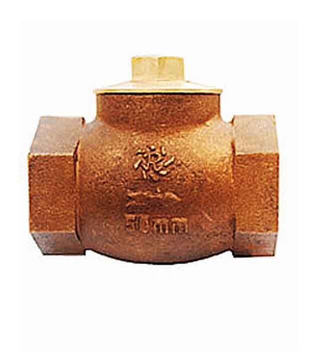 Buy Ramnik Non Return Valve Nrv 50Mm 2 Inch Gun Metal Online At Low Buy Ramnik Non Return Valve Nrv 50Mm 2 Inch Gun Metal Online At Low