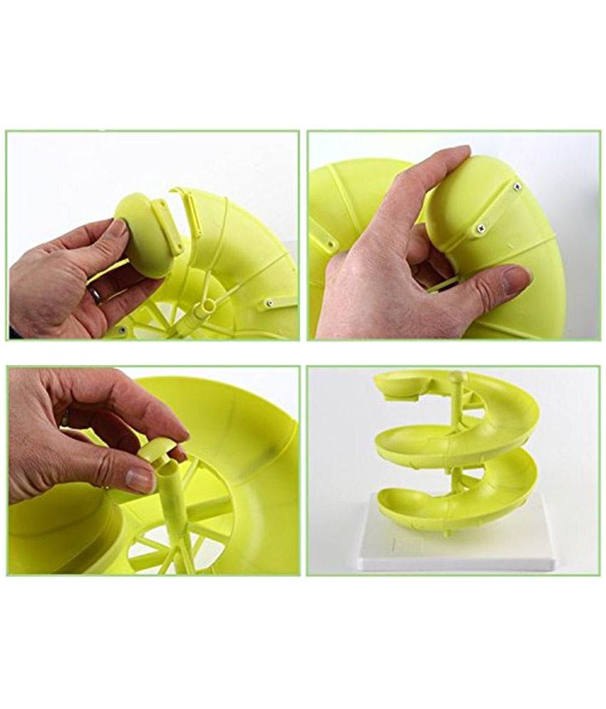 Everything Imported Plastic Egg Seperator 1 Pc: Buy Online at Best ...