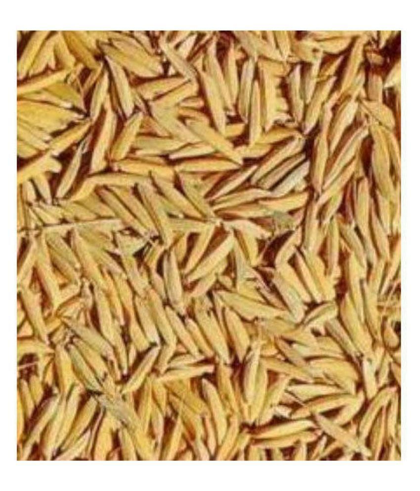 Pusa Basmati 1509 Variety 9 Kgs Seeds Buy Pusa Basmati 1509 Variety