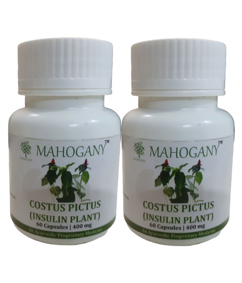 Mahogany Costus Pictus (insulin) Capsules 400 Mg 110002 Capsule 60 mg ...