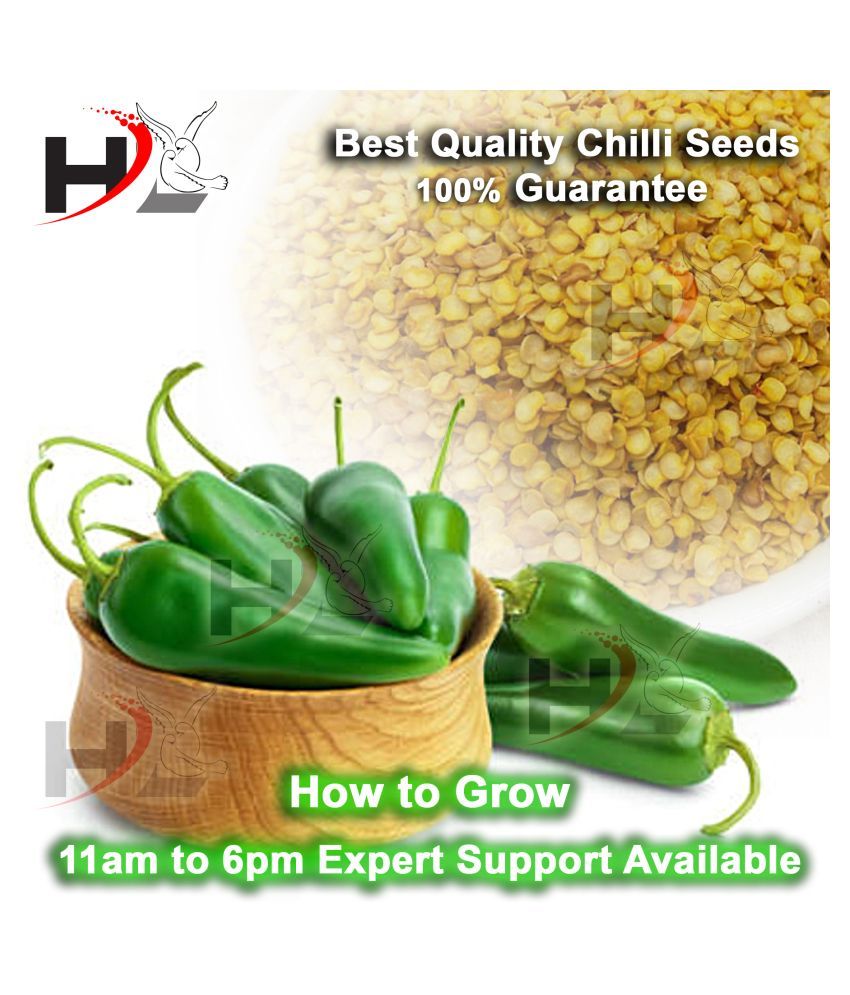 HL High/Best Quality CHILLI Seed's (100% Working), Chili Seed: Buy HL ...