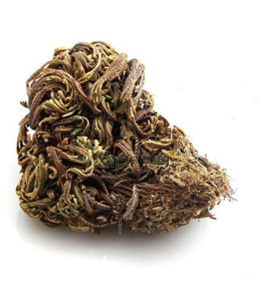 Kapebonavista Hydrophile Rose Of Jericho In Poly Bag Raw Herbs 1 No S