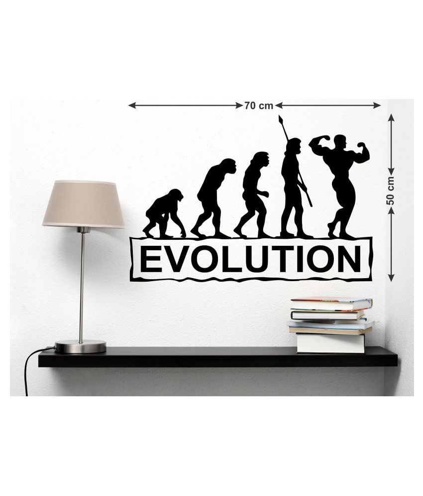Wallzone Evolution Sticker ( 70 x 75 cms ) - Buy Wallzone Evolution ...