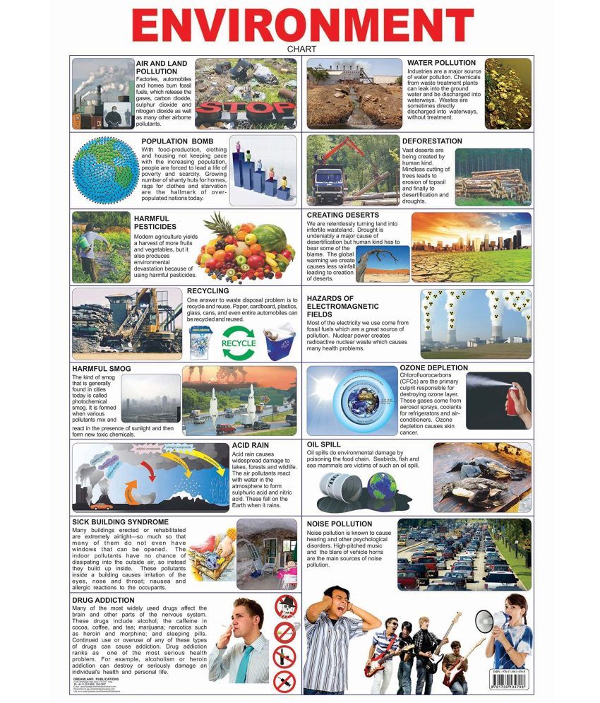 Environment - Laminated Chart - Reference Book: Buy Environment ...